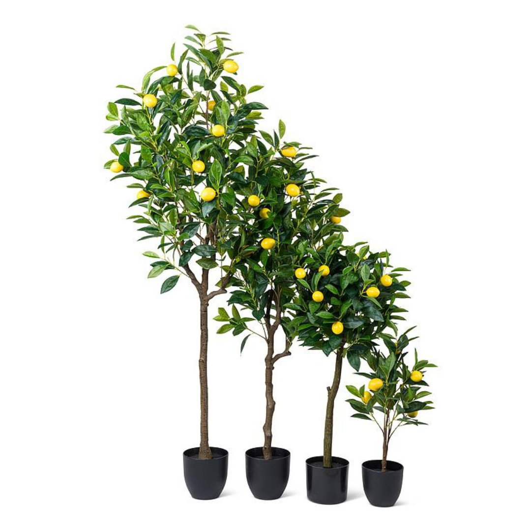Topiary Lemon Tree– Landen Furniture & Decor